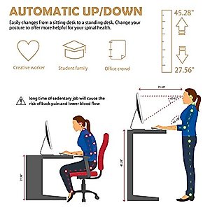 Meilocar Height Adjustable Electric Standing Desk, Sit Stand Computer Desk with Memory Controller, Home Office Desk Computer Workstation 48" x 24" Tabletop (White Top + White Frame)