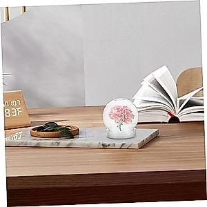 Plastic Snow Globe 20 pcs Craft DIY Base Moss Multi-use Cake Clear Terrarium with Transparent Holiday Display Gift Screw Case Customization Cover Prop Mini Home Art Snow Globe