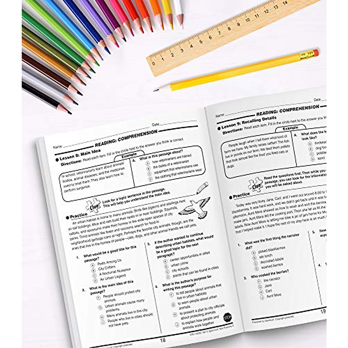 Spectrum 5th Grade Test Practice Workbooks All Subjects, Ages 10 to 11, 5th Grade Test Practice, Language Arts, Reading Comprehension, Vocabulary, Writing and Math Reproducible Book - 160 Pages