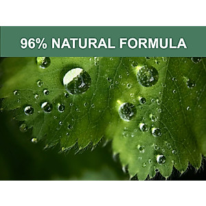 Mr. Peanut's Naturals 100% Plant Based, Unscented Pet Wipes, 160 Count, Larger 8x6" Size