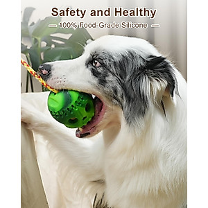 Joytale Dog Enrichment Toys, Treat Dispensing Dog Toys for Aggressive Chewers, Fillable Dog Chew Toys with Frozen Mold, Skull Design Dog Toys with Rope, Dog Toys to Keep Them Busy