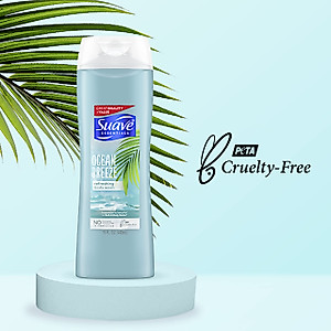 Suave Essentials Body Wash, Ocean Breeze, 15 Fl Oz (Pack of 1)