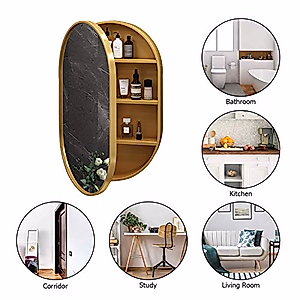 ZTGL Oval LED Lighted Mirror Cabinet, Wall-Mounted Bathroom Medicine Cabinet, Touch Button, Slow Close Hinge, 19.7x31.5 in,Gold,Lights Defogging