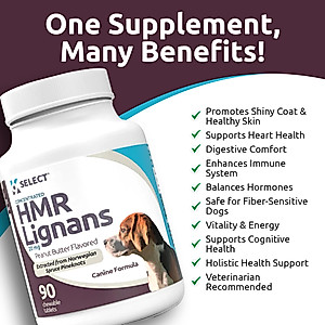 K9 Select HMR Lignans for Dogs - Enhancer for Overall Wellness, Immune Support for Dogs - Norway Spruce Extract Holistic Dog Health - Digestion, & Coat Care - Peanut Butter, 20mg, 90 Tablets