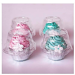 Alipher Plastic Cupcake Containers Clear Cupcake Boxes Disposable Cupcake Carrier Safety Cupcake Muffin Storage Holder 10PCS (1Compartement)