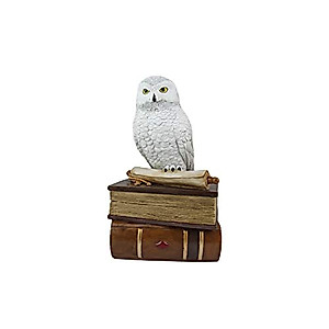 World of Wonders Wizard School White Owl Sculpture Decorative Box with Lid | Knick Nacks for Shelves and Owl Decor | Home Decor for Table Top | Book Lover Gift - 9"