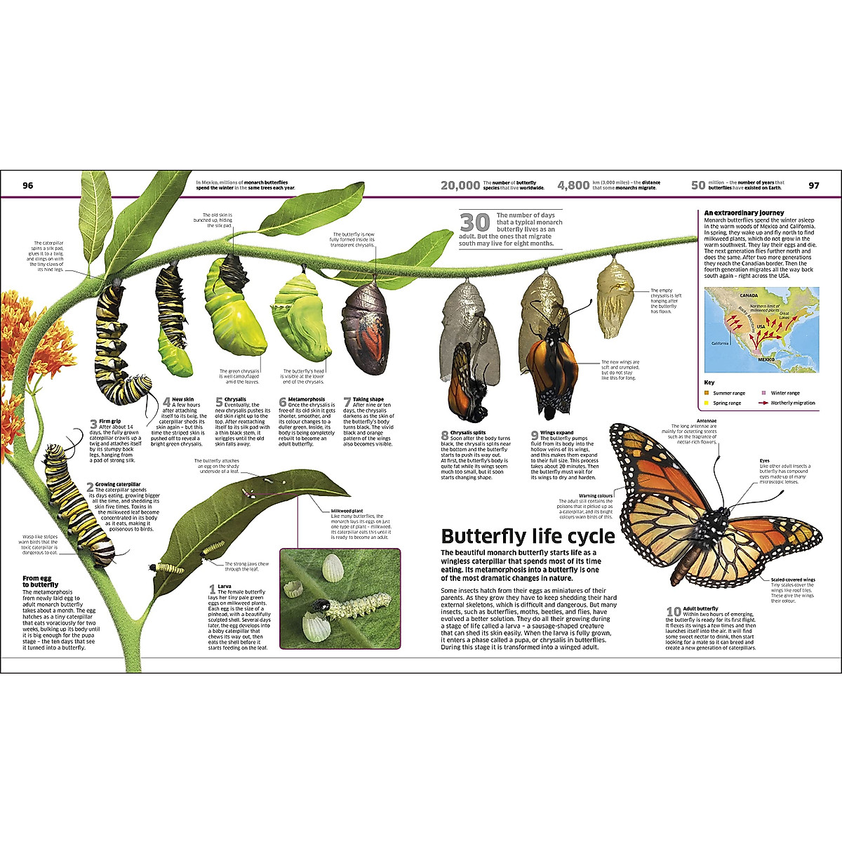 Knowledge Encyclopedia (Updated and Enlarged Edition): The World as You've Never Seen It Before (DK Knowledge Encyclopedias)