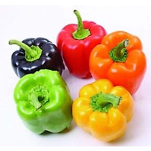 Rainbow Blend Sweet Bell Pepper Seeds, 50+ Heirloom Seeds Per Packet, (Isla's Garden Seeds), Non GMO Seeds