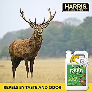 Harris Deer Repellent, Long Lasting Ready to Use Plant Safe Formula, 128oz