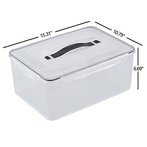 Eagrye 15 L Rectangular Plastic Clear Airtight Food Storage Containers with Latch Lid, 4 Pack Rectangle Food Storage Container with Portable Handle