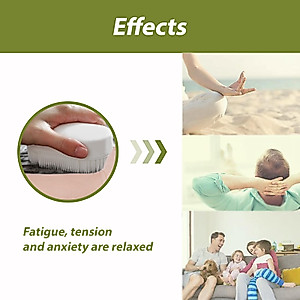 Sensory Brush Therapy Set - Occupational and Sensory Brushing Tools for Calming and Stimulation - Soft Bristles, Latex Free - Ideal for Kids and Adults with Autism or Sensory Needs