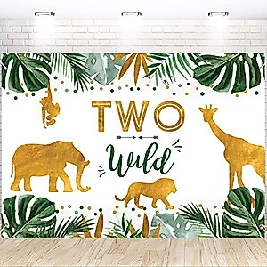 NAIWOXI Two Wild Birthday Decorations - Safari Jungle Theme 2nd Birthday Party Supplies Includes Banner, Backdrop, Balloons Arch, Tablecloth, Topper, Two Wild Jungle Safari Theme Party Decorations