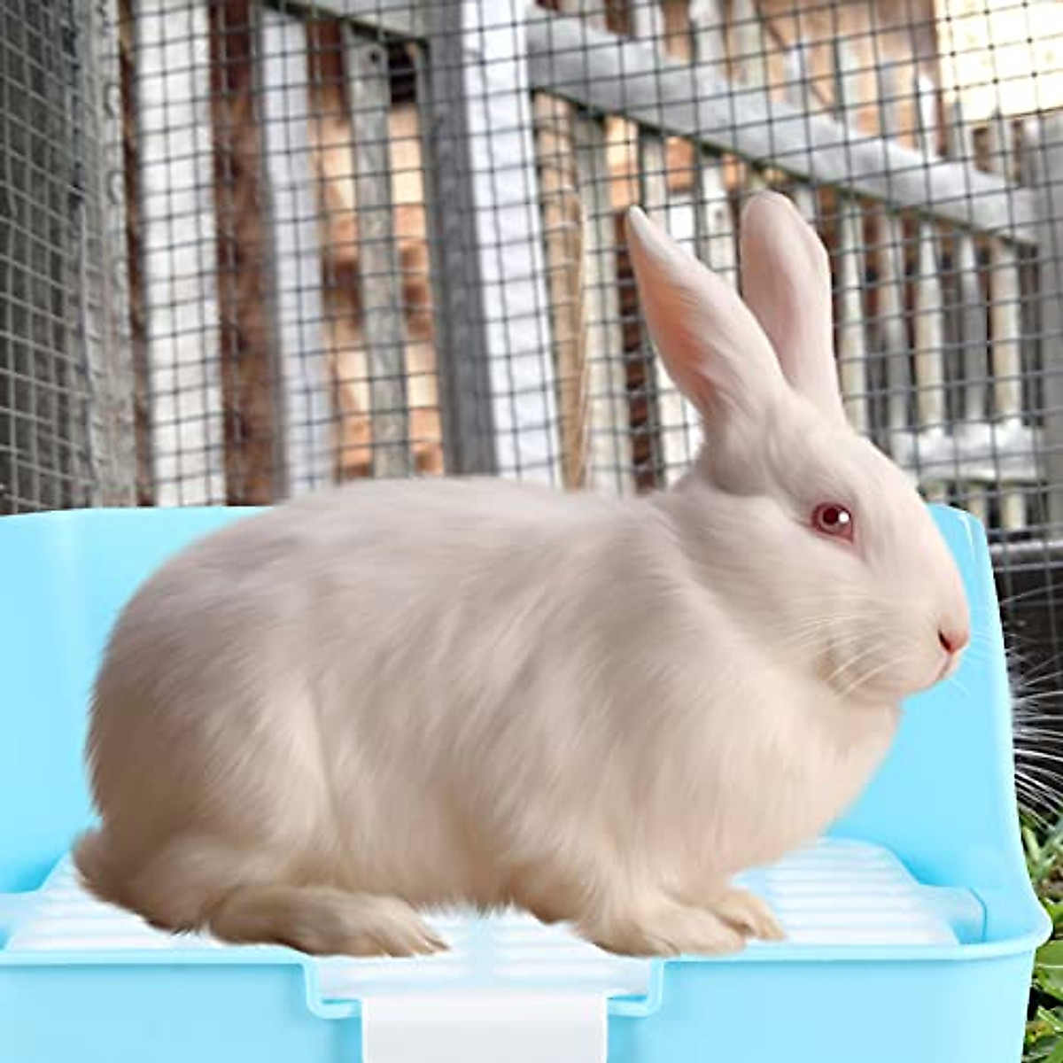 Ipetboom Box Animals Guinea Ferret/Silk Ferret Pig Pigs Corner Poop Pig/Hamster Bunny Tray Litter Cage Rabbit Pad for Animal Training Pet with Toilet Bedding Blue Golden Small Urinal