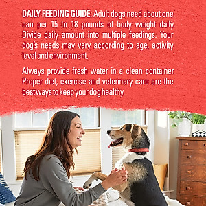 Purina Beyond Beef, Potato, And Green Bean Grain Free Wet Dog Food Natural Pate With Added Vitamins And Minerals - (12) 13 Oz. Cans