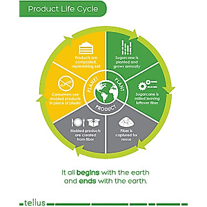 Tellus Products, Eco-Friendly (125-Count) 12 Oz Disposable Bowls - Compostable, Durable Tableware - Grown & Made in the USA - No PFAS Added (Natural Color)
