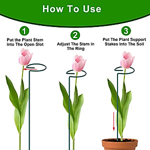 6 Pack Plant Support Stakes, 16 inch Plant Support Rings with 50 Pcs Plant Twist Ties, Single Stem Plant Support Stakes for Plant Flowers, Amaryllis, Rose, Orchid, Peony, Lily, Tomatoes, Vegetable