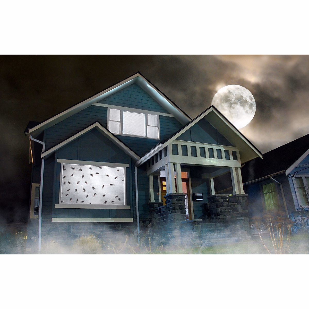 AtmosFX Creepy Crawlies 2 Halloween Digital Decorations