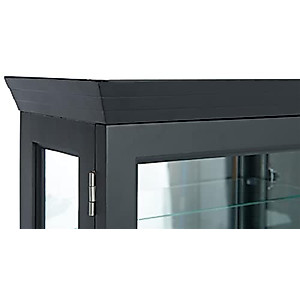 Displays2go 21" Countertop/Wall Mount Display Case, Adjustable Shelves, Locking - Black (DCC2128BK2)