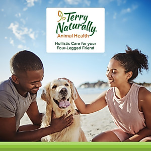 Terry Naturally Animal Health Bladder Control - 30 Capsules - 100 mg Angelica - Bladder Health & Urinary Tract Support for Dogs - Non-GMO, Canine Only - 30 Servings
