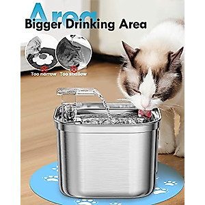 Rantizon Cat Water Fountain, 74oz/2.2L Stainless Steel Cat Fountain Water Bowl, Quiet Electric Automatic Pet Water Fountain with Silicone Mat, Water Fountain for Cats Inside for Cats Dogs Pets