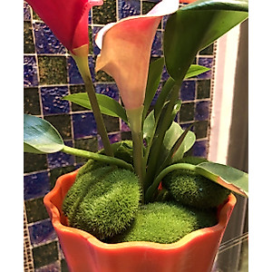 COUOC 16 Pieces (2 Size) Artificial Moss Rocks, Decorative Faux Green Moss Covered Stones, Green Moss Balls Fake Moss Decor for Pot Planter Fairy Gardens Floral Arrangements Craft