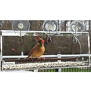 Suction Cup Hooks, Set of 6, 2" Clear Heavy Duty Cups W/Stainless Hook, Best for Shower, Bathroom, Kitchen, & Windows - Super Strong Pads Makes Them Perfect for Outdoor Use On Wreaths & Bird Feeders