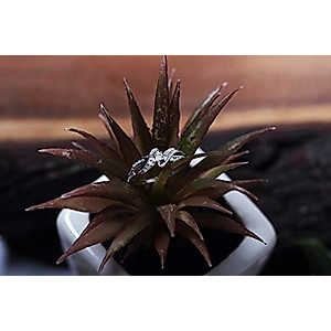 Dazzlingrock Collection 0.15 ctw Round White Diamond Swirl Bypass Split Shank Ring for Women in 925 Sterling Silver Size 7