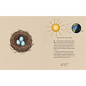 The Wheel of the Year: An Illustrated Guide to Nature's Rhythms