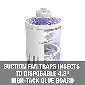 Sun Joe SJ-BZ15W-WHT UV Indoor Insect Fruit Fly Trap for Small Flying Insects, Non-Toxic UV Light, Non-Zapper, Bug Light w/10-Sticky Glue Traps Included, White