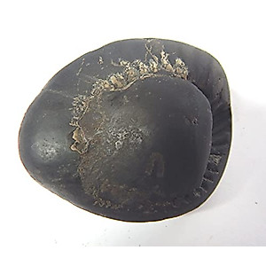 XUETZALCOATL Laxmi Narsimha shaligram Purnachakra Purnagarbha Shaligram Nepal Kali Gandki