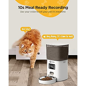 Ciays Automatic Cat Feeders, 6L Cat Food Dispenser Up to 20 Portions 6 Meals Per Day, Pet Dry Food Dispenser with Distribution Alarms for Small Medium Cats Dogs, White