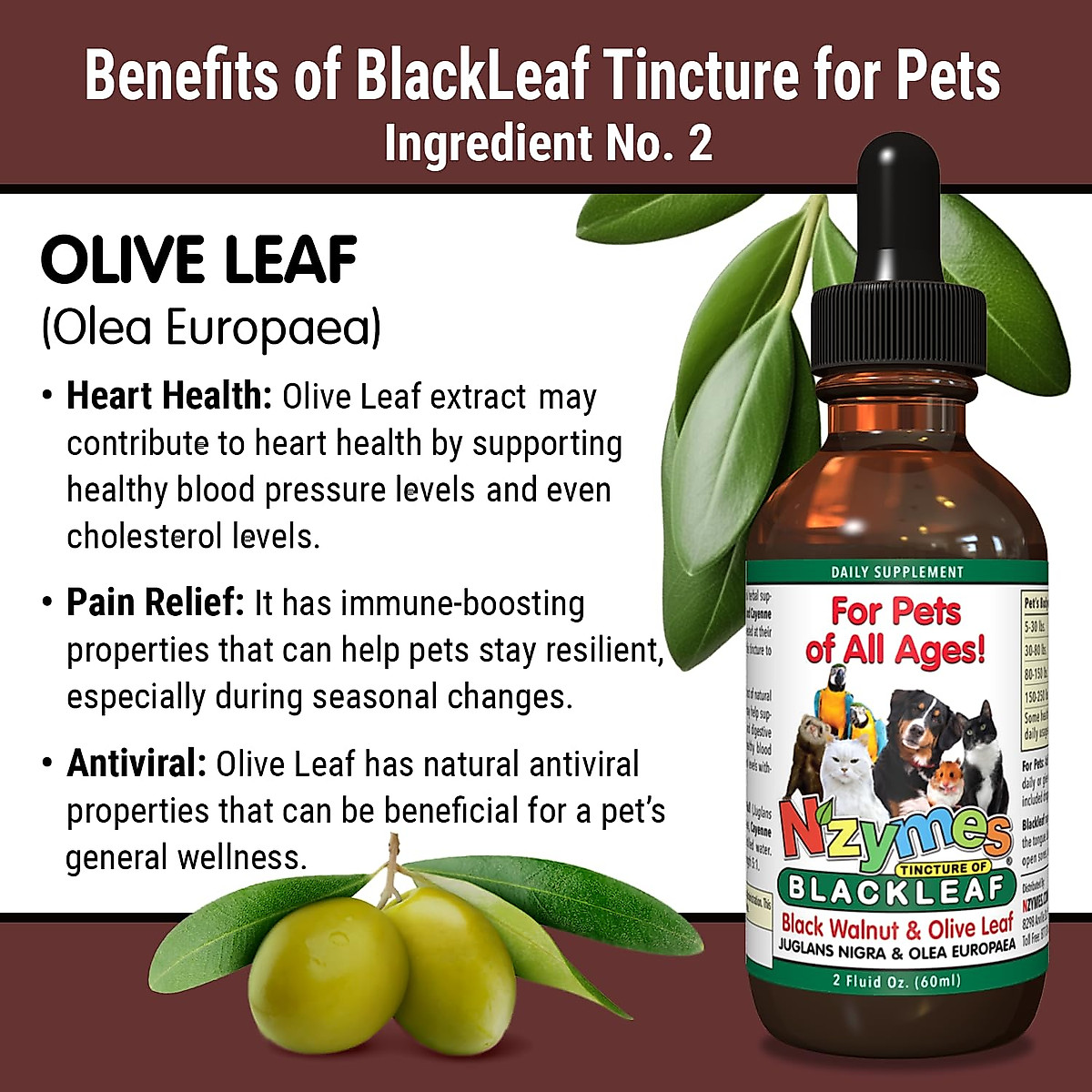 BlackLeaf Tincture for Pets