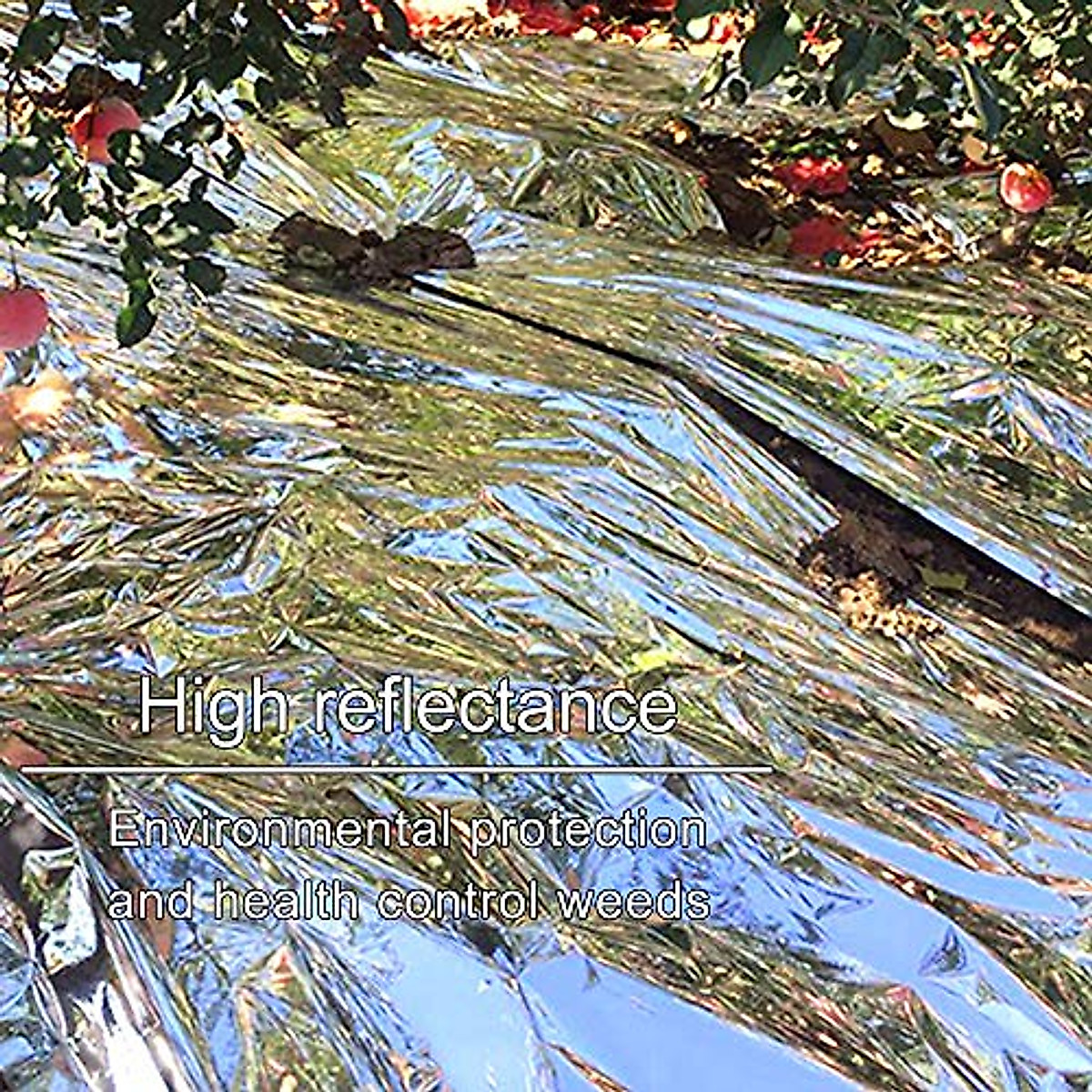 winemana 6 Pack Large High Silver Reflective Mylar Film, 83x 63 in, High Reflectivity, Keep Warm, 100% Environmentally Safe, Perfect for Plant Growth, First Aid, Marathon, Camping, Outdoor Survival