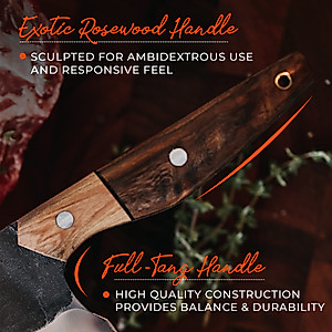 Bear Creek Knives | Antero 8" Kiritsuke Chef Knife | UltraFine 3-Step-Honed Blade | 440c Stainless Steel | Double-Beveled Cutting Edge | Rosewood Handle