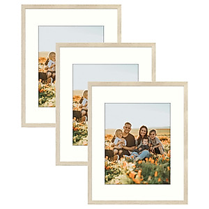 Golden State Art, 16x20 Picture Frame - 11x14 Photos with Ivory Mat or 16x20 Pictures Without Mat - Real Glass, Wall Display for Poster, Picture, Portraits, Artwork - Set of 3, Beige