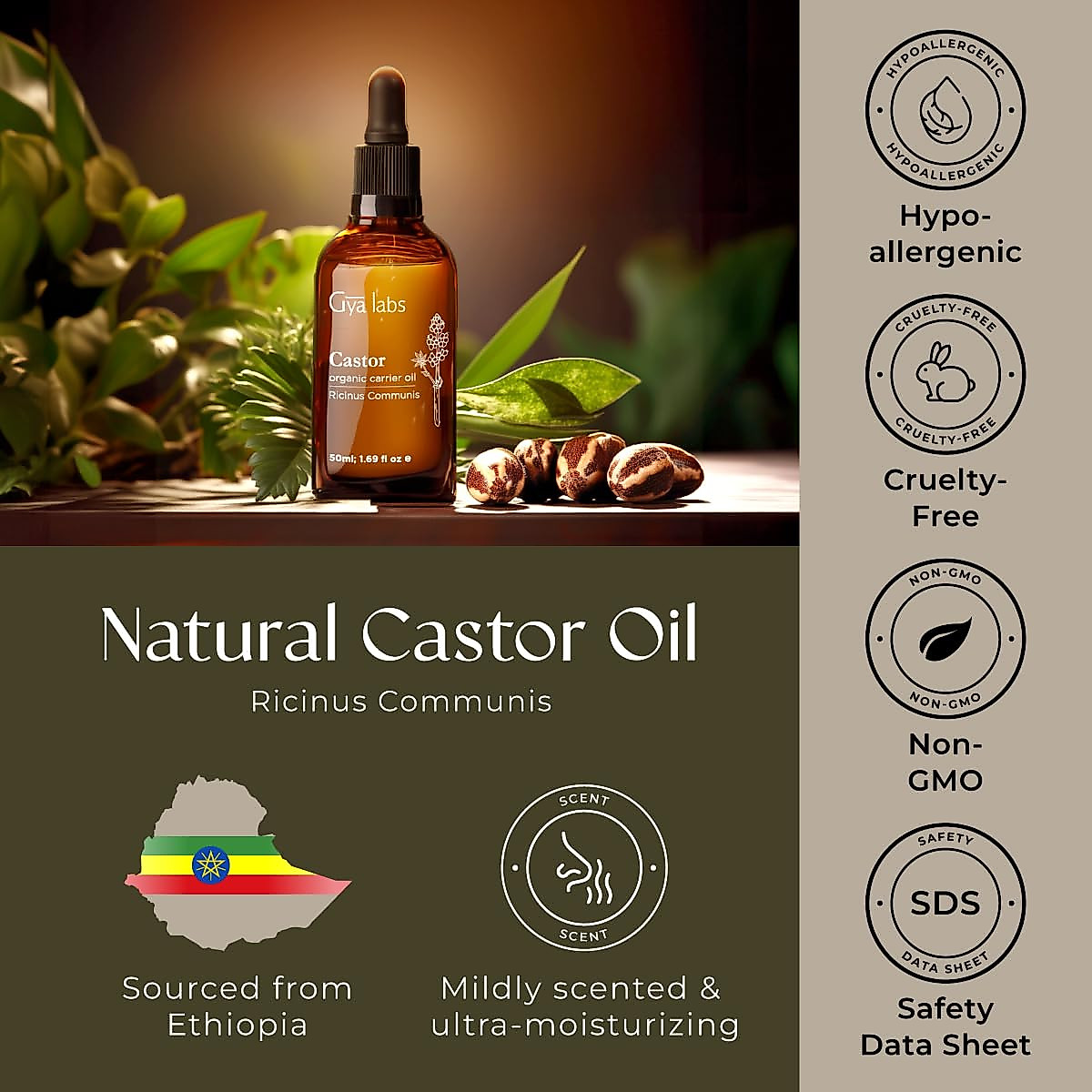 Gya Labs Organic Cosmetics Castor Oil for Eyelashes and Eyebrows - 100% Natural Cold Pressed Castor Oil for Hair, Eyelash & Eyebrow - Unrefined Carrier Oil for Skin (1.7 fl oz + Eyelash Kit)