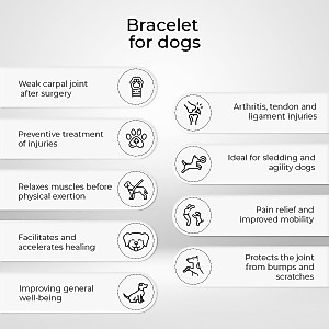 Ortocanis - Dog Leg Brace - Front Leg Brace for Dog - Arthritis, Ligament Injuries, Tendon Injuries or Agility Dogs - Promotes recovery, Stabilizes, and Reduces Pain - Made of Neoprene - Size L 17 - 19 cm