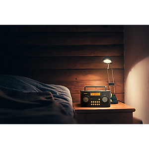 Sangean PR-D17 AM/FM-RDS Portable Radio Specially Designed for The Visually Impaired with Helpful Guided Voice Prompts, high Contrast Large Yellow Controls with Raised Symbols (Renewed)