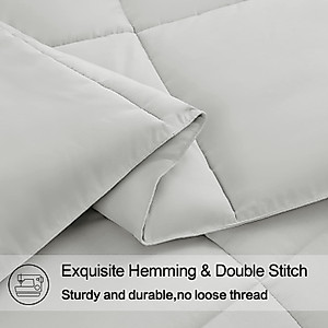 EASELAND All Season Queen Size Soft Quilted Down Alternative Comforter Reversible Duvet Insert with Corner Tabs,Winter Summer Warm Fluffy,Light Grey,88x88 inches