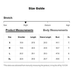 Floerns Men's Letter Graphic Print Long Sleeve Drawstring Hoodie Sweatshirt Tops A Blue S