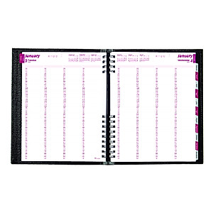 Brownline 2023 CoilPro Daily Professional Planner, Four-Person Appointment Book, 12 Months, January to December, Twin-Wire Binding, 11" x 8.5", Black (CB960C.BLK-23)