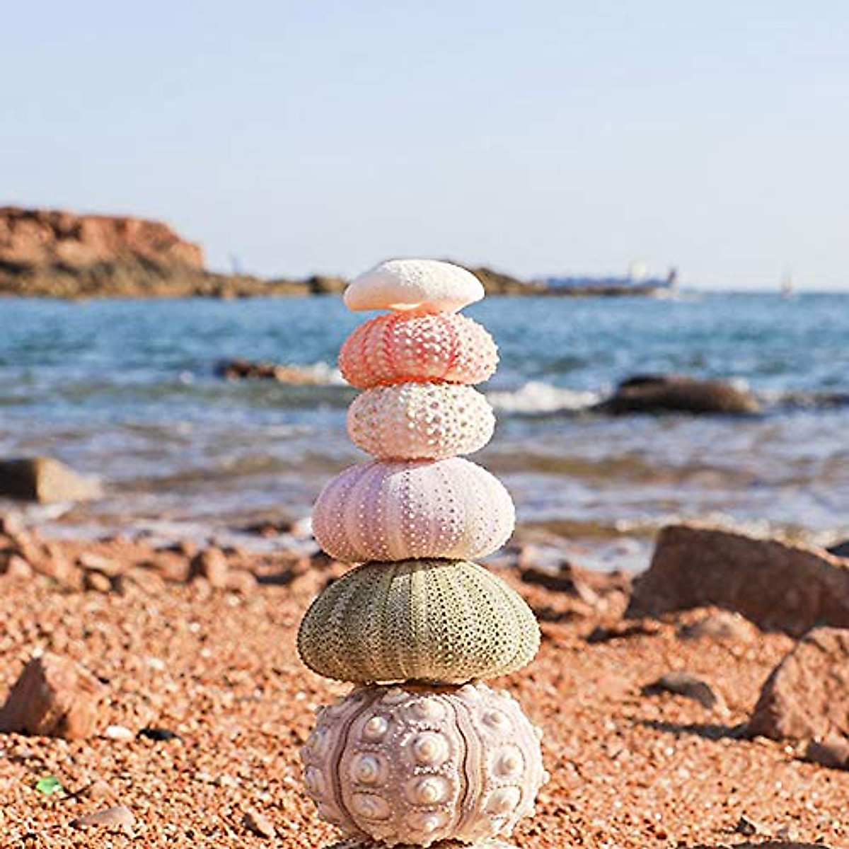 BUDDE 5 Pack Mini Sea Urchin Shell Hanging Pot-Air Plant Holder air Plant Hanging holdercute pots for succulentsin Cute Tillandsia Succulentwith Rustic Ropes