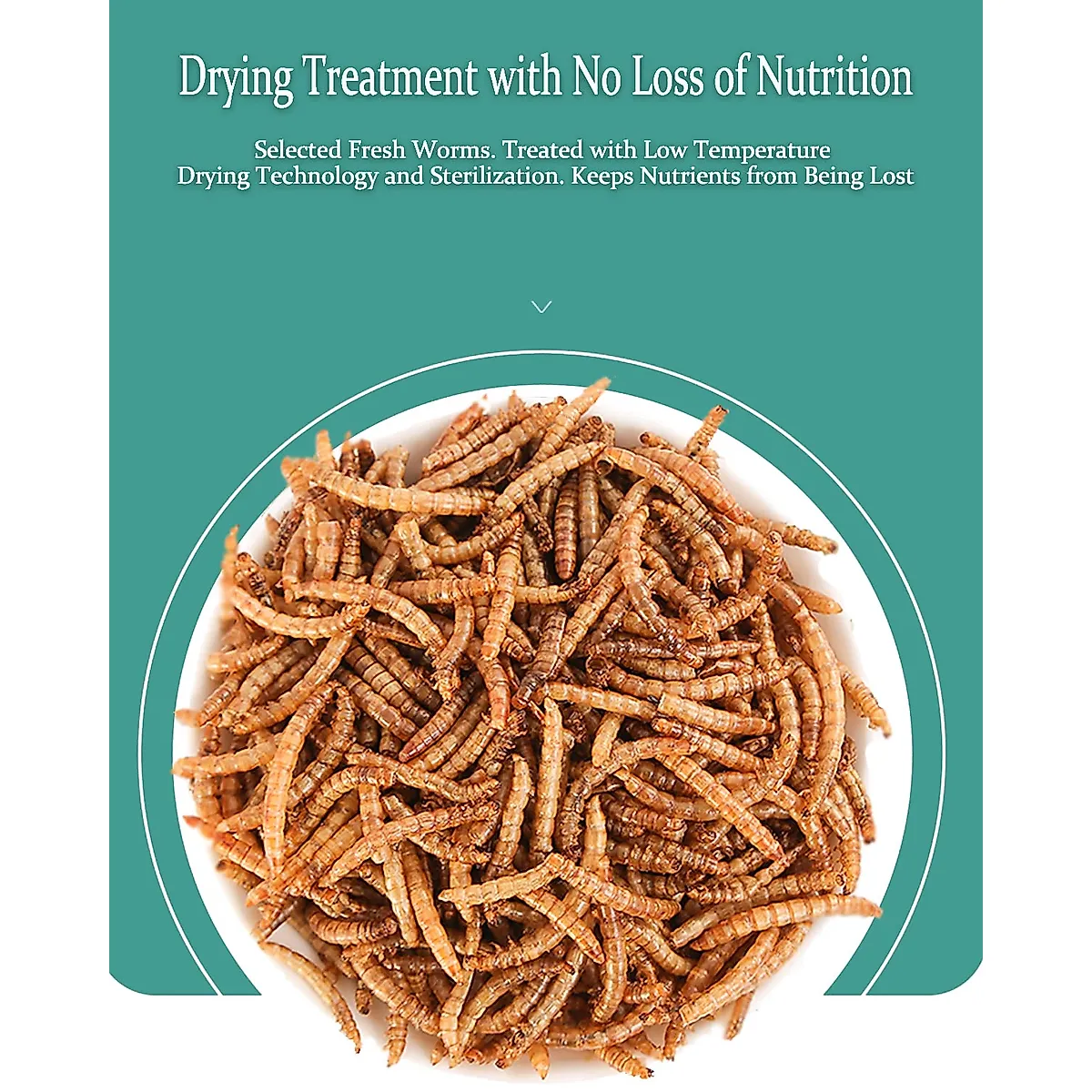 Reptile Food Dried Mealworms Pet Worms Food for Bearded Dragon, Lizard, Turtles, Chameleon, Monitor, Frog, Sugar Glider, Chickens, Birds, Hamsters and Hedgehogs (3.5 OZ)