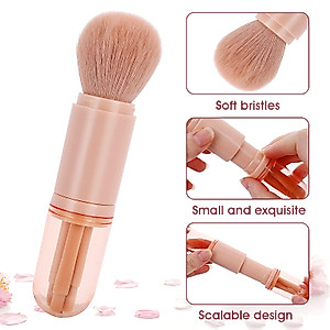 Molain Retractable Makeup Brush, 4 in 1 Portable Travel Lip Brush, Highlight Brush, Eyeshadow Brush, Foundation Blending Powder Brush Mini Facial Cosmetic Makeup Brush Set (Pink)