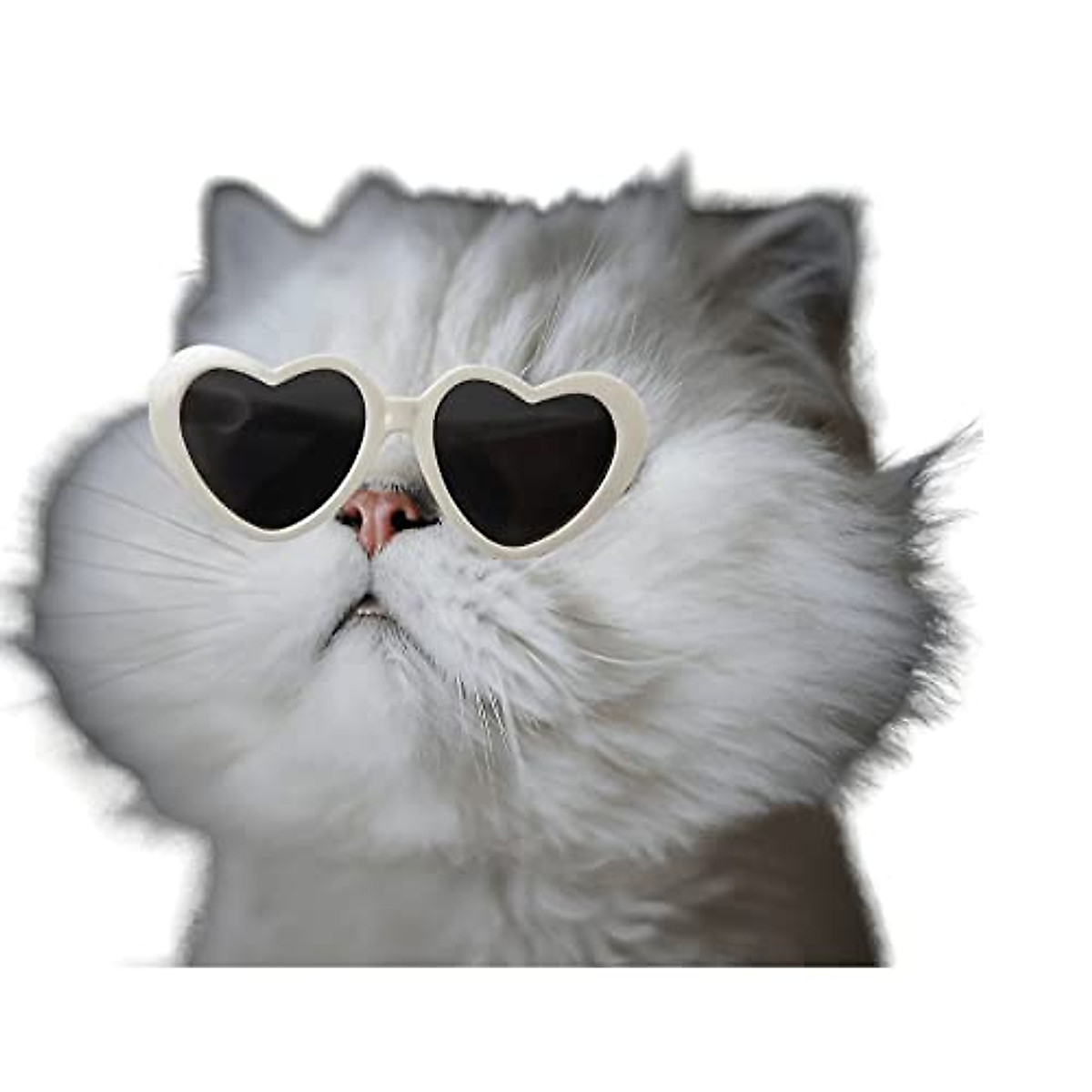 Pet Cat Dog Doll Sunglasses, Kitty Funny Props Eyeglasses, Cosplay Photography Props Cute Sunglasses 2PCs Pink and White