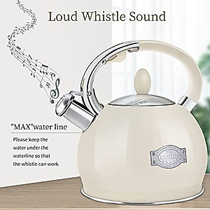 RETTBERG Tea Kettle for Stovetop Whistling Tea Kettles Retro Black Stainless Steel Teapots, 2.64 Quart (Cream)