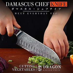 Dragon Creek Damascus Santoku Knife Sharp Japanese Chef Knife Professional Kitchen Gyuto Cleaver for Meat Vegetable Cutting Birthday Gift for Mom or Dad 7" Stainless Steel