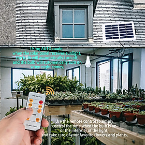 CCGKX Solar Light Bulbs Rechargeable with Remote Timer, 4 Modes Solar Powered Lantern for Indoor&Outdoor Chicken Coop Hurricane Emergency Lighting Hiking Camping (White, 300lm-2pack)