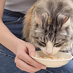 INABA Chicken Broth Side Dish for Cats with Vitamin E, Eight 1.76 Ounce Pouches, Chicken Recipe