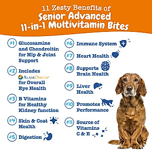 Zesty Paws Multivitamin Treats for Dogs - Glucosamine Chondroitin for Joint Support + Digestive Enzymes & Probiotics - Grain Free Dog Vitamin for Skin & Coat + Immune Health Chicken - Advanced - 60ct